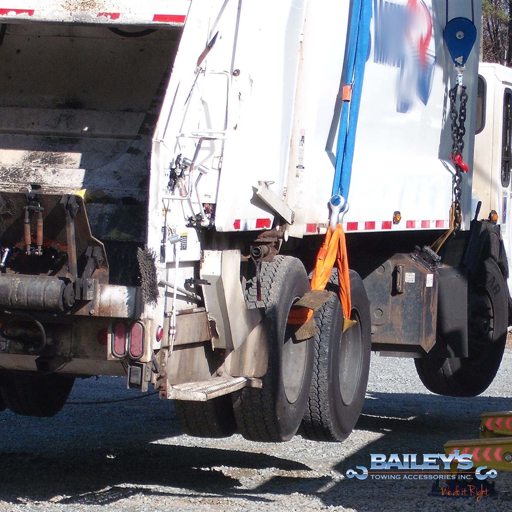 Bailey's Synthetics | BONES